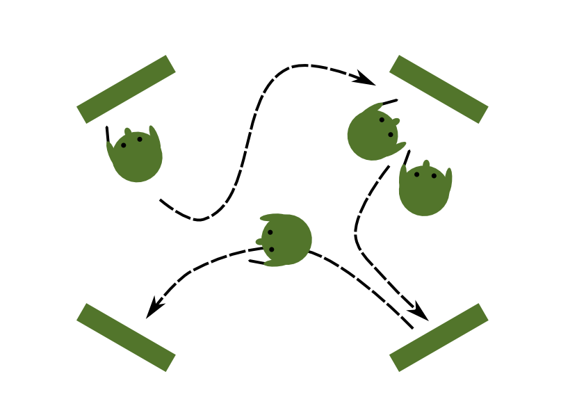 Four-Corner Feedback | training_and_teaching_methods